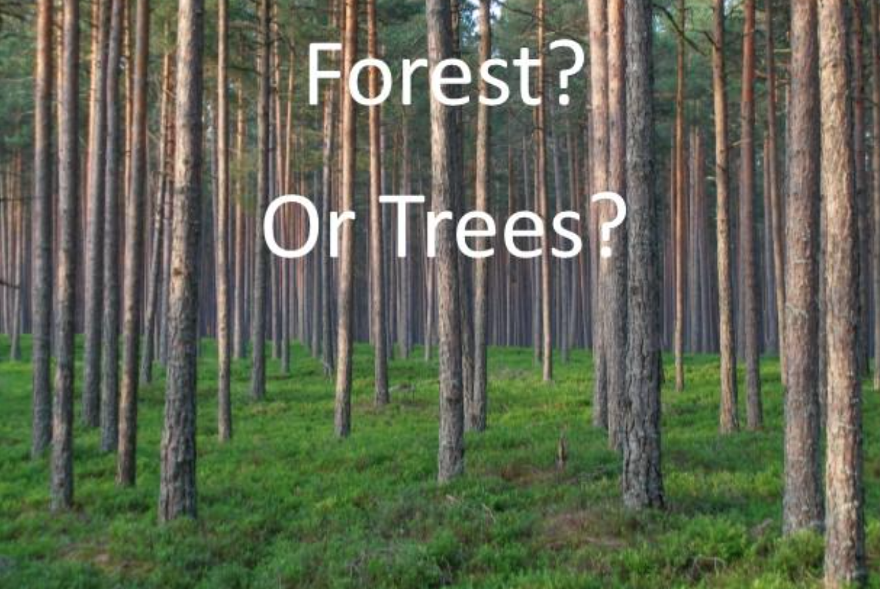 Lumpers and Splitters: Who doesn’t believe in ACEs? – ACEs Too High