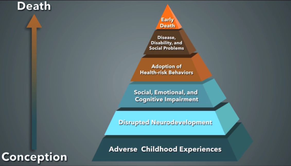 Johnna Janis makes documentary “Invisible Scars” to heal her and others ...