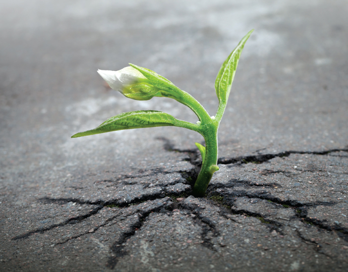 8 ways people recover from post childhood adversity syndrome – ACEs Too ...