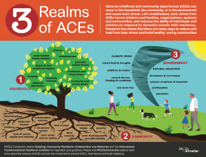 PACEs Science 101 – ACEs Too High